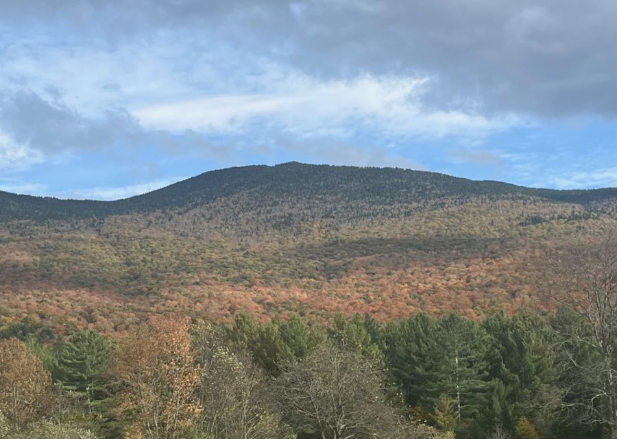 Mt Hunger (North Pk) | The Vermont 110